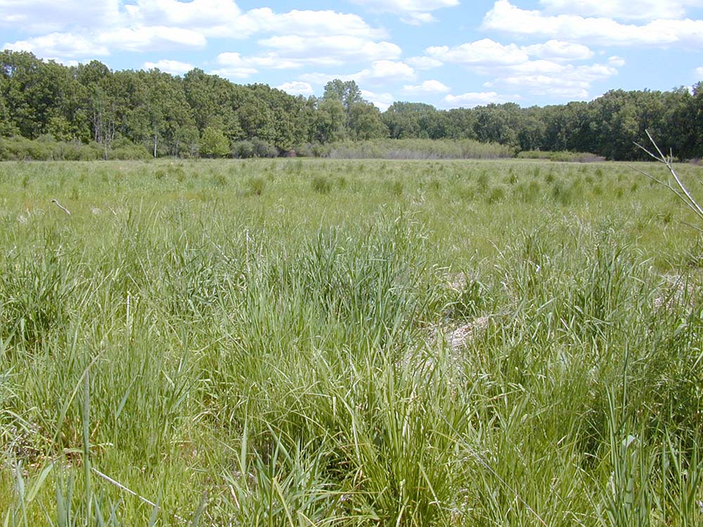 Admissions Home | Augustana College